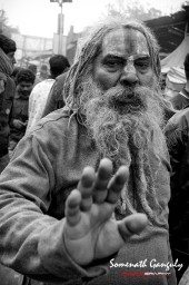 Welcome to Flixprime