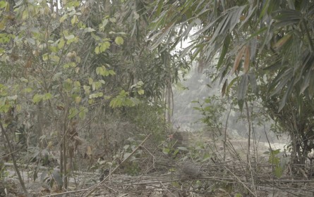 Welcome to Flixprime