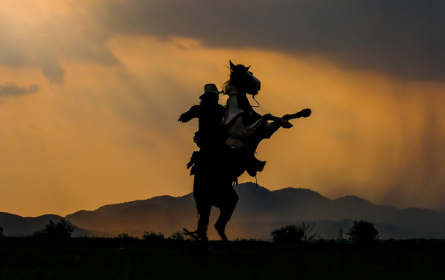 Welcome to Flixprime